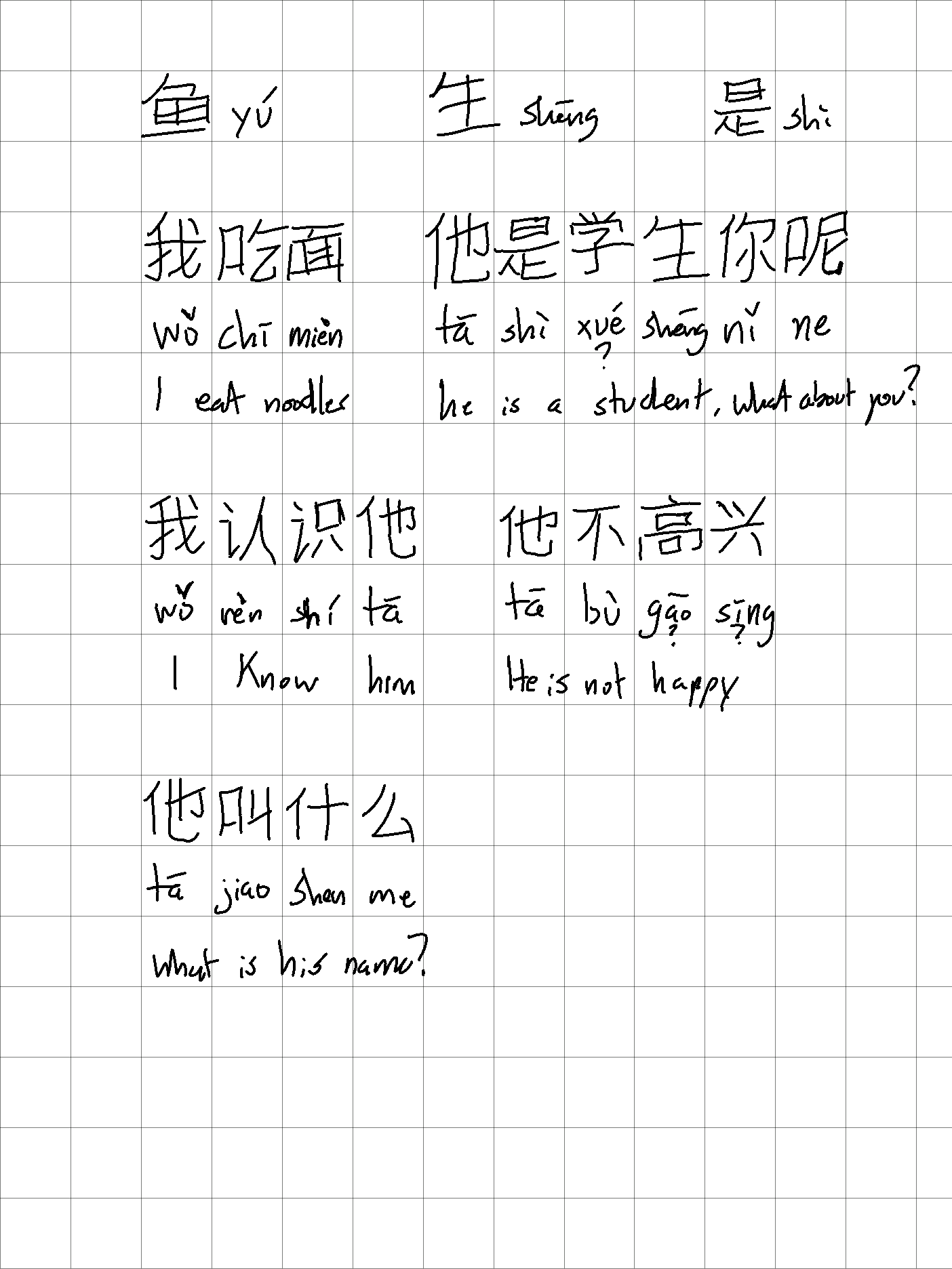 Learning Mandarin by Writing Everything | Work Hard, Span Easy